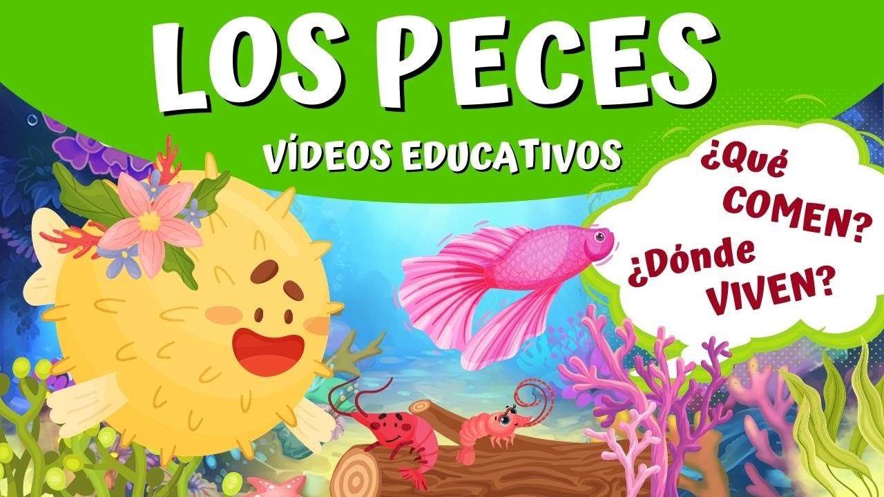 ¿Qué animal come peces? - Yorokobi