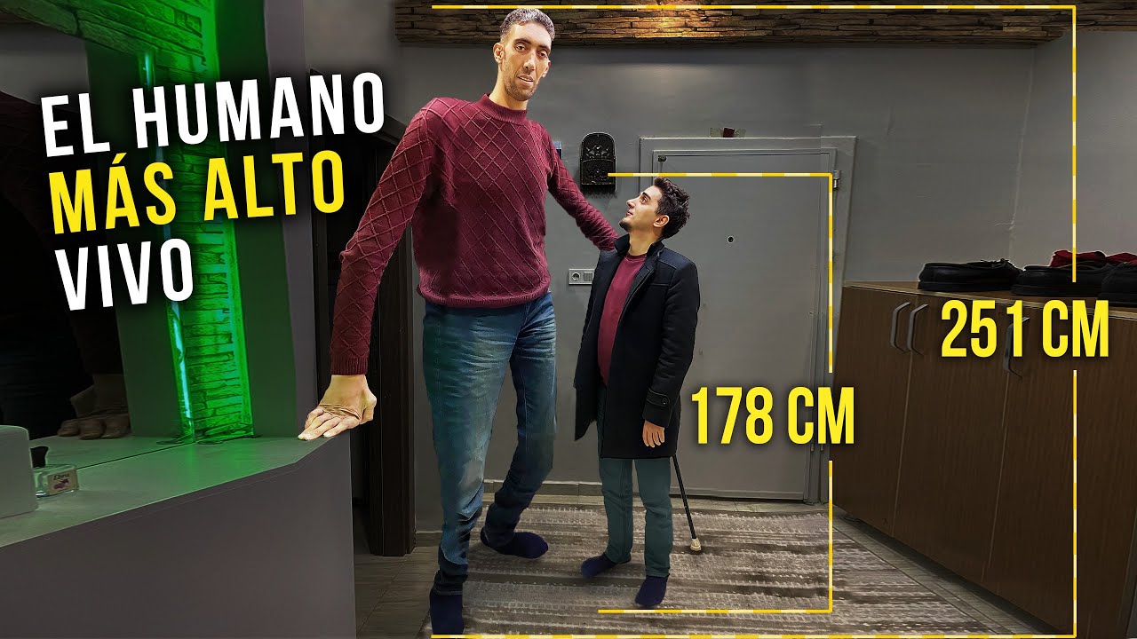 ¿Cuál es la altura del hombre más alto del mundo? - Yorokobi