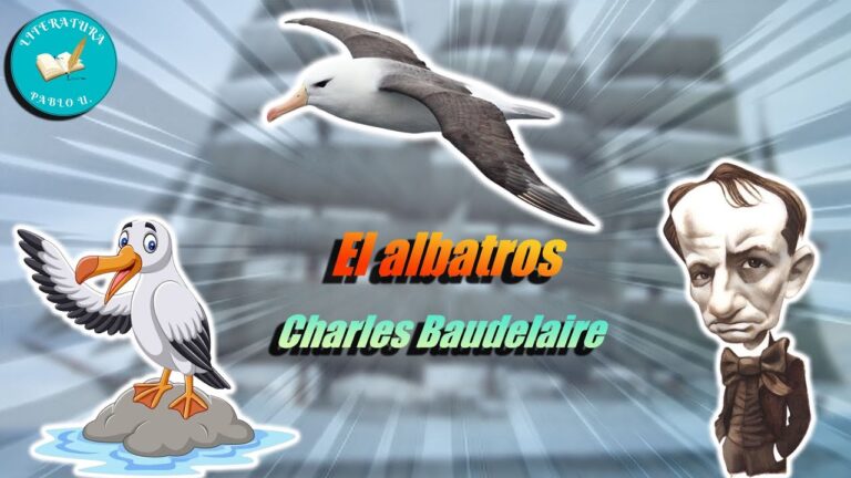 El albatros y el comienzo del fin - Yorokobi
