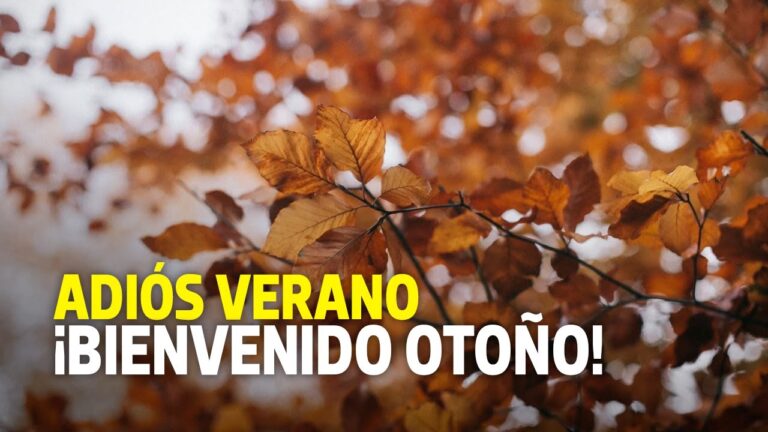 ¿Cuándo comienza el otoño? - Yorokobi