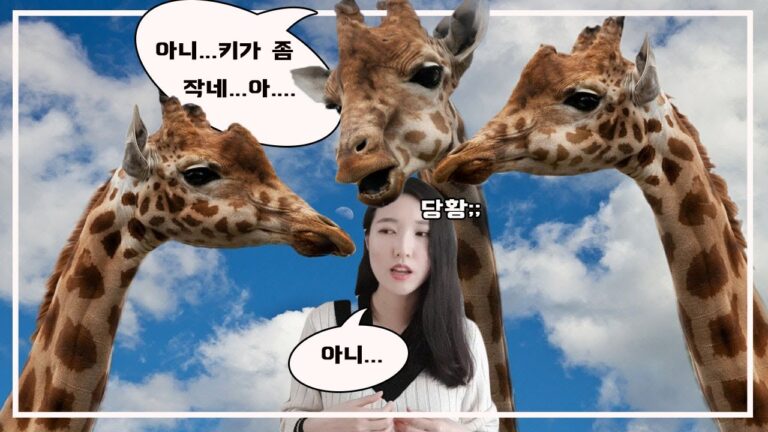 Estatura promedio en Corea del Sur - Yorokobi